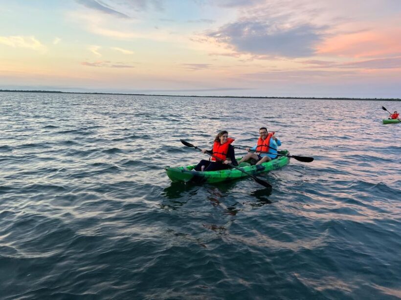 Orlando: Bioluminescence Clear Kayaking or Paddleboarding - Practical Tips for Participants