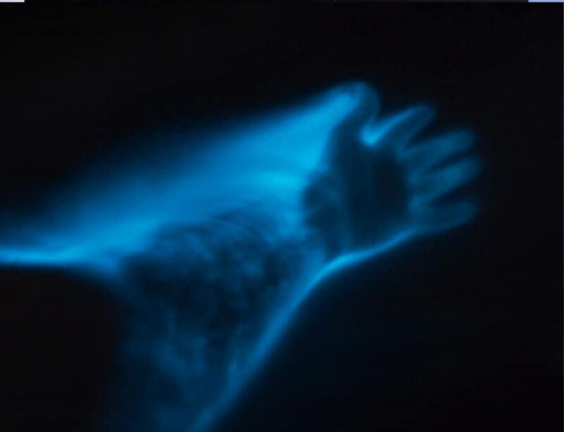 Orlando: Bioluminescence Clear Kayaking or Paddleboarding - What to Bring and Dress