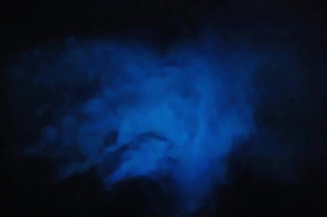 Orlando Bioluminescence Kayak Adventure - Setting the Scene: What to Expect