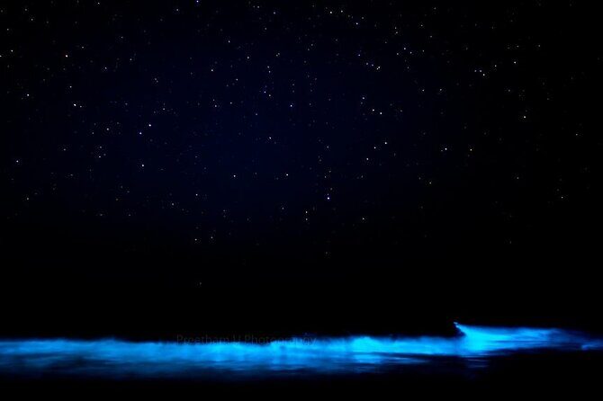 Orlando Bioluminescence Kayak Adventure - FAQ