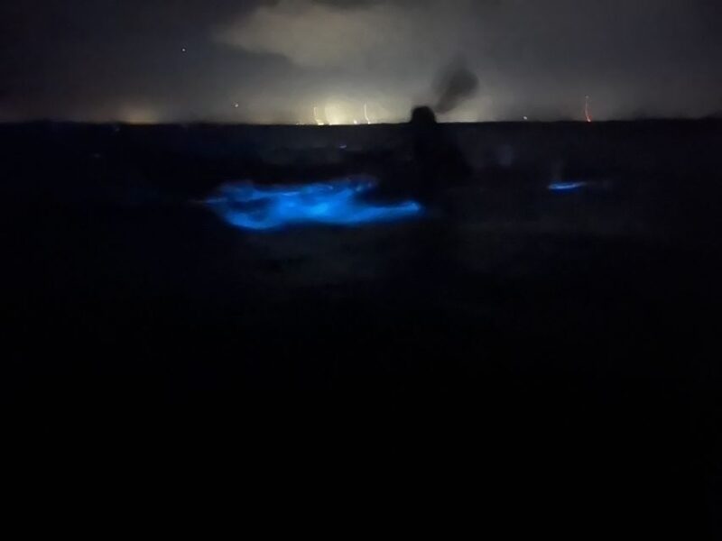 Orlando: Bioluminescence Kayak Adventure - What’s Included and How It Adds to the Value