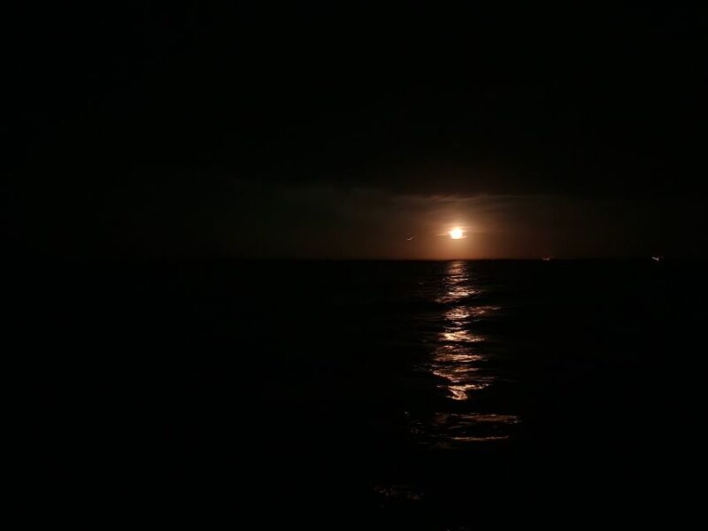 Orlando: Bioluminescence Kayak Adventure - Practical Tips for Enjoying the Tour