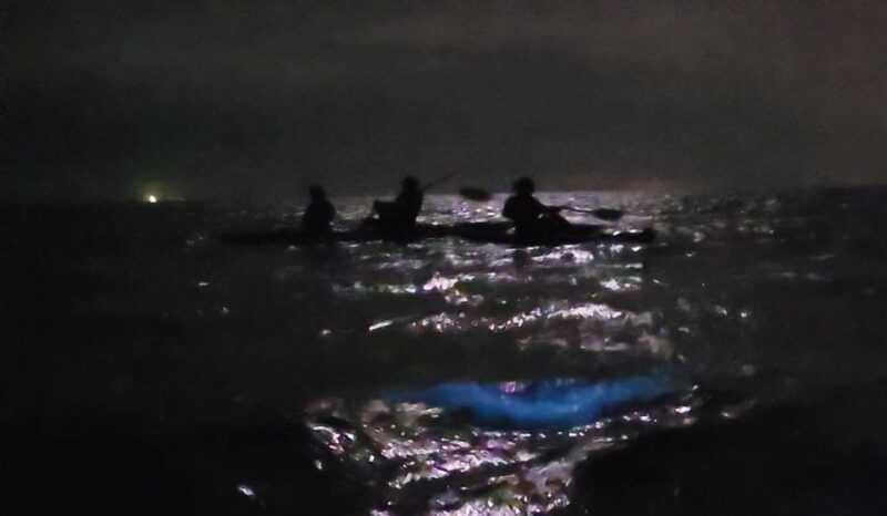 Orlando: Bioluminescence Kayak Adventure - Who Should Consider This Tour?