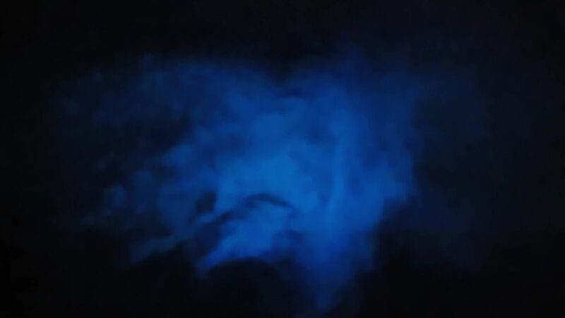 Orlando: Bioluminescence Kayak Adventure - FAQ