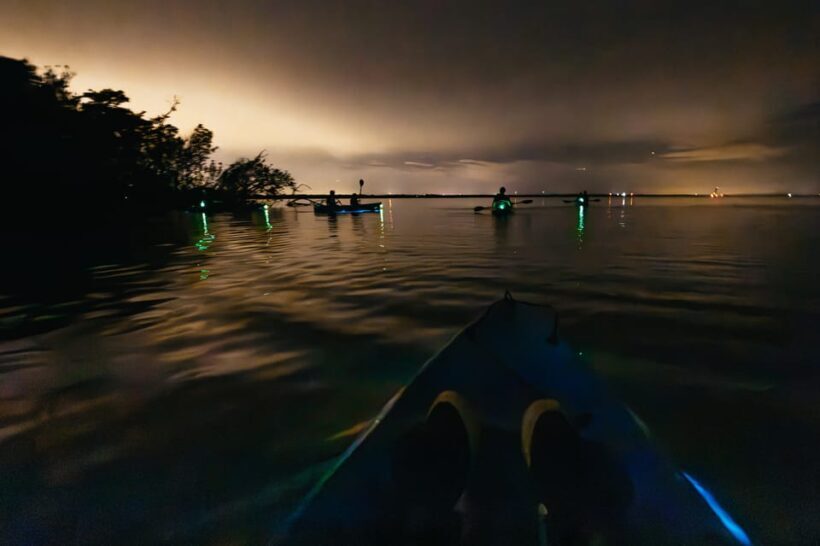 Orlando: Bioluminescence Kayak Tour - Final Thoughts