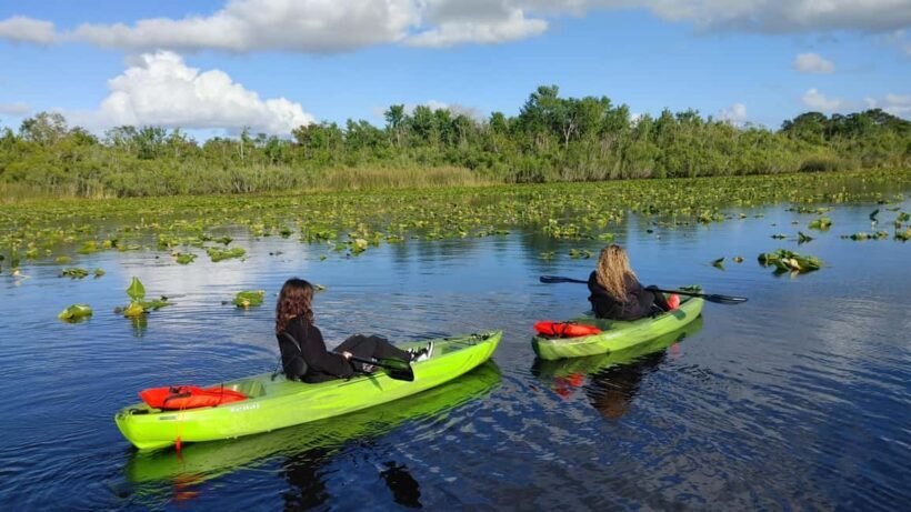 Orlando: Blue Springs Manatee Kayak Tour - Who Will Love This Tour?
