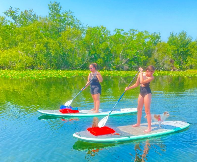 Orlando: Clear Kayak and Paddleboard 2-Hour Rental - FAQ