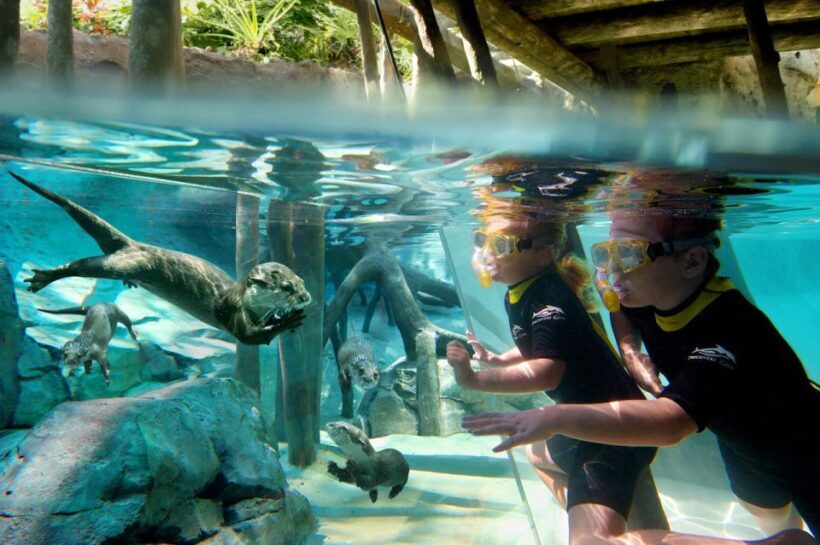 Orlando: Discovery Cove Admission Ticket & Additional Parks - An Experience Like No Other in Orlando