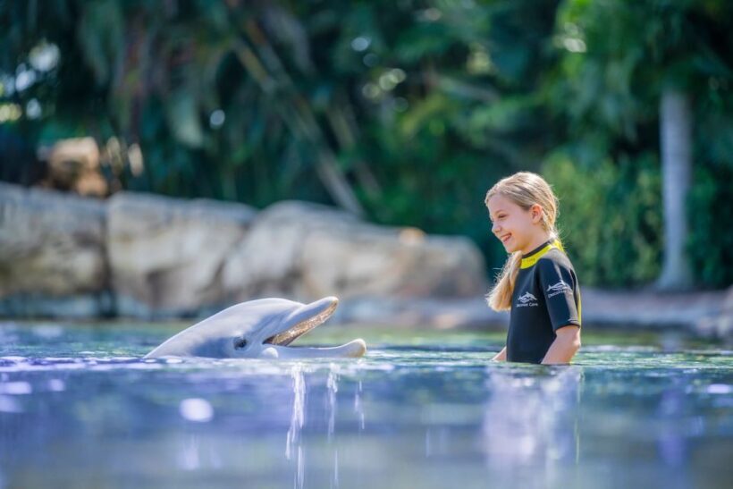 Orlando: Discovery Cove Admission Ticket & Additional Parks - Who Will Love This Experience?