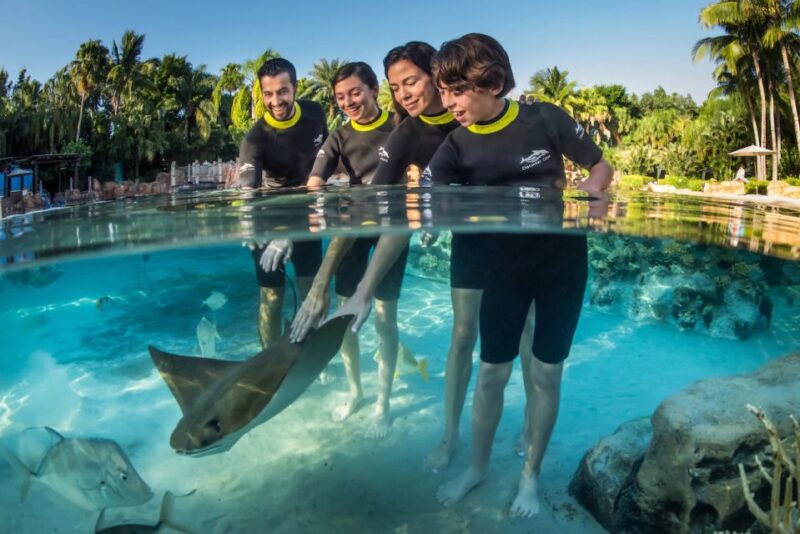Orlando: Discovery Cove Admission Ticket & Additional Parks - Key Points
