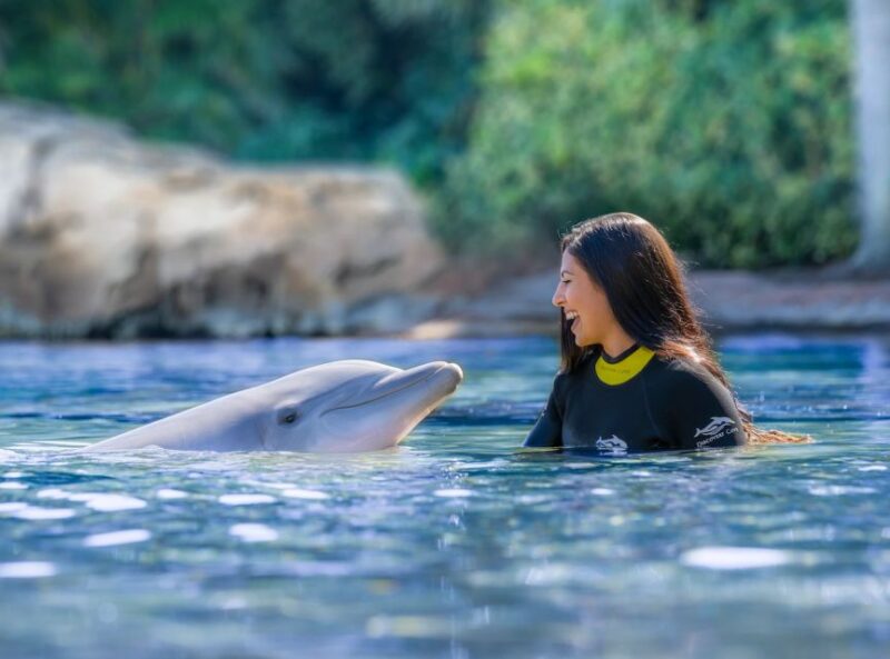 Orlando: Discovery Cove Admission Ticket & Additional Parks - Who Should Consider This Experience?