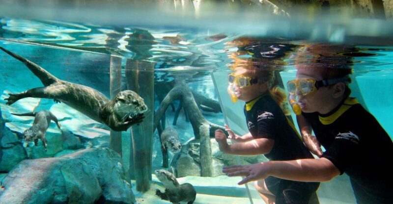 Orlando: Discovery Cove Admission Ticket & Additional Parks - Final Thoughts
