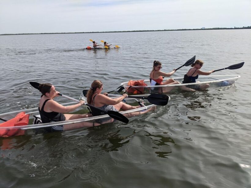 Orlando: Dolphin Clear Kayak or Paddle Board Adventure - The Sum Up