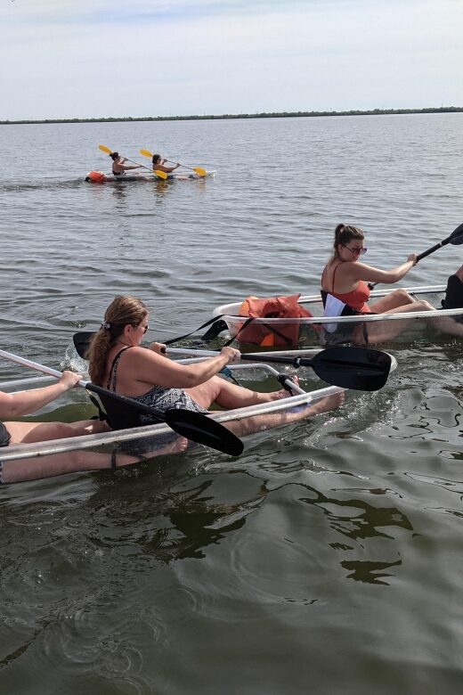 Orlando: Dolphin Clear Kayak or Paddle Board Adventure - FAQ