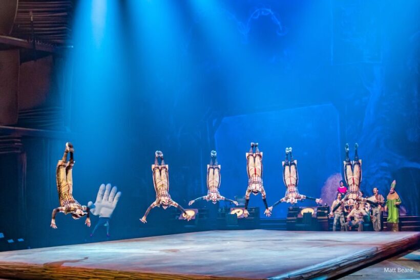 Orlando: "Drawn to Life" Cirque du Soleil Entry Pass - The Practicalities: Timing and Accessibility