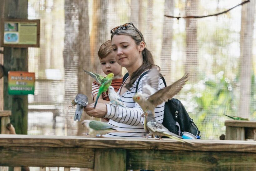 Orlando: Drive-Thru Safari Park at Wild Florida - What to Expect During Your Visit