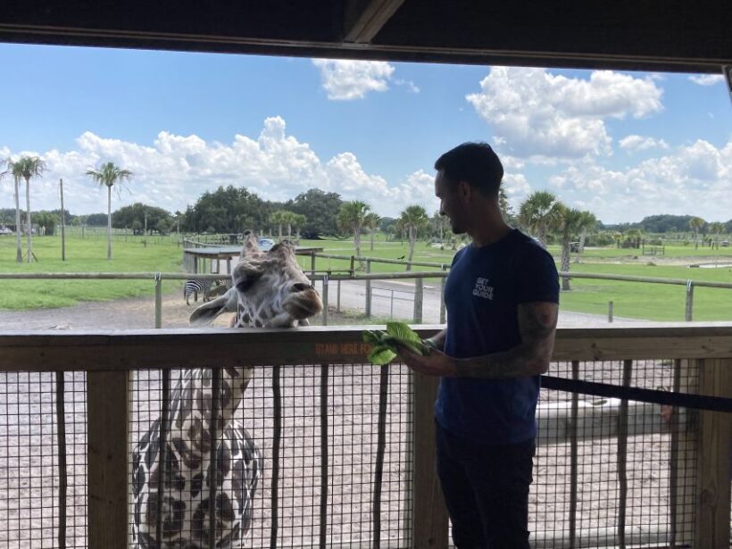 Orlando: Drive-Thru Safari Park at Wild Florida - The Sum Up