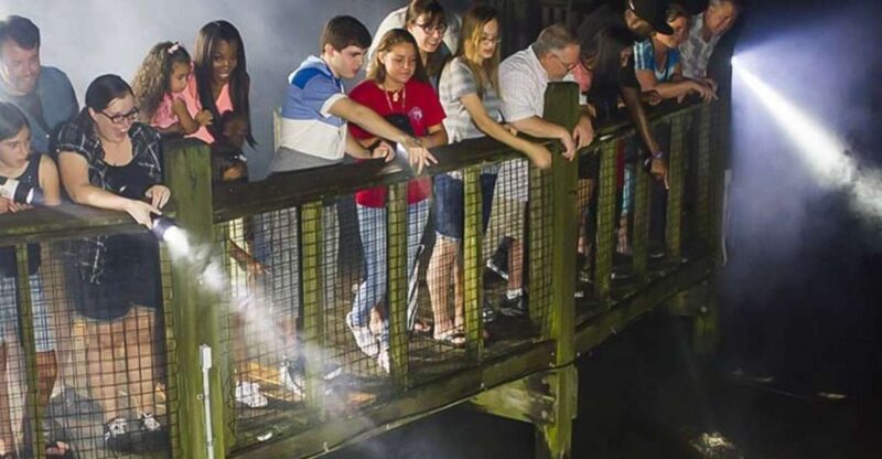Orlando: Gatorland Flashlight Tour at Night - Key Points