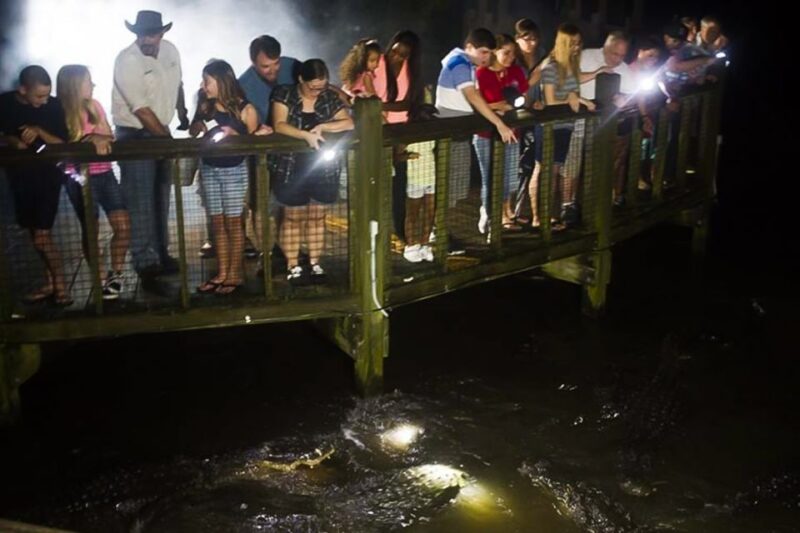Orlando: Gatorland Flashlight Tour at Night - Authenticity and Overall Experience