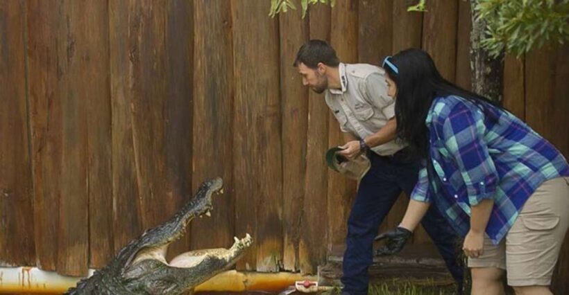 Orlando: Gatorland Interactive Tour with Animal Trainer - Key Points