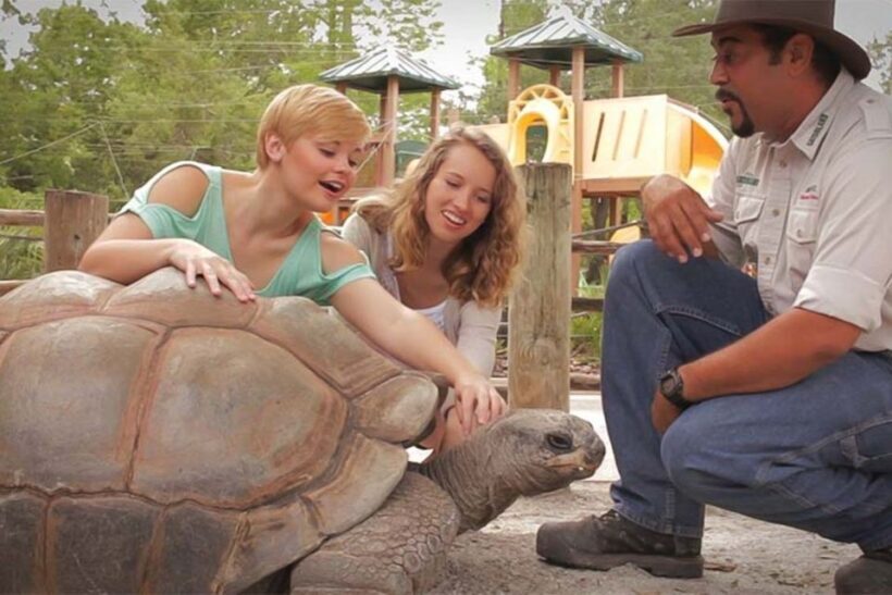 Orlando: Gatorland Interactive Tour with Animal Trainer - Practical Details and Recommendations