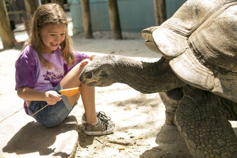 Orlando: Gatorland Skip-the-Line Ticket - Who Will Love Gatorland?