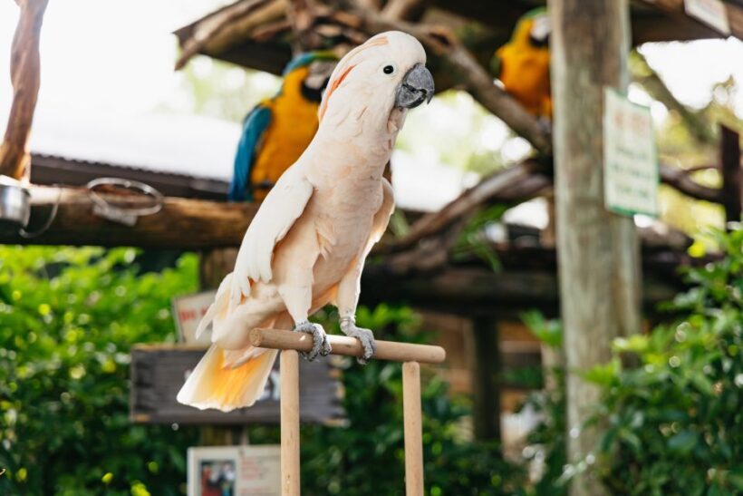 Orlando: Gatorland Skip-the-Line Ticket - The Sum Up
