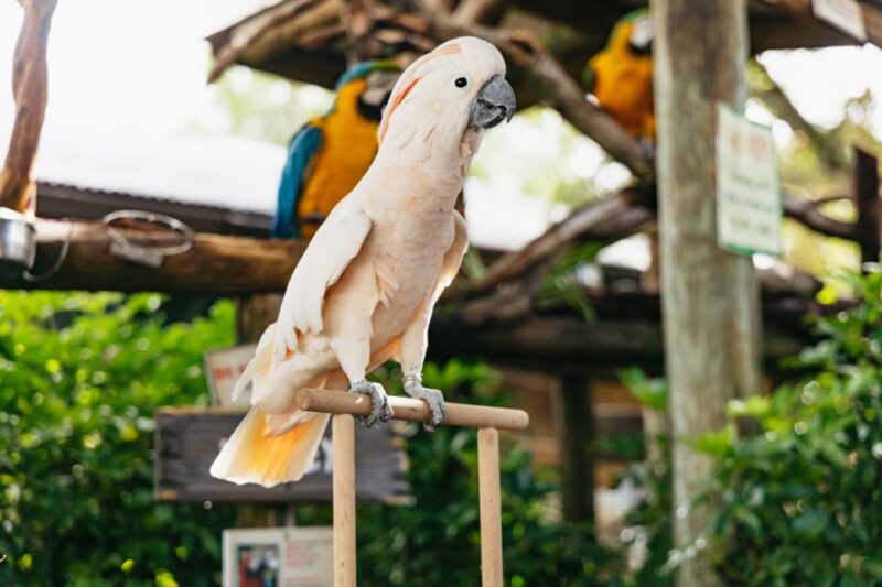 Orlando: Gatorland Skip-the-Line Ticket - The Value of Your Ticket