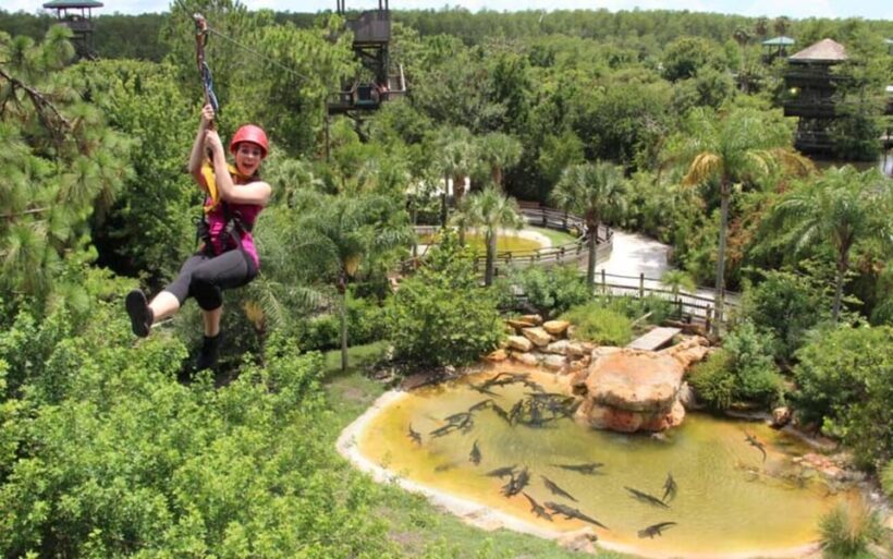 Orlando: Gatorland Zipline Adventure w/ Full-Day Park Access - An In-Depth Look at Gatorland’s Zipline Adventure