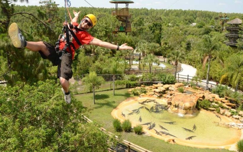 Orlando: Gatorland Zipline Adventure w/ Full-Day Park Access - Final Thoughts