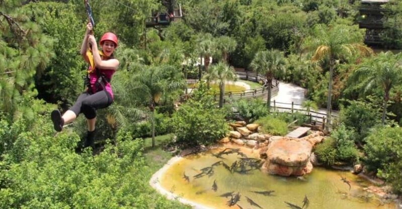 Orlando: Gatorland Zipline Adventure w/ Full-Day Park Access - Full-Day Park Access: More Than Just a Zipline