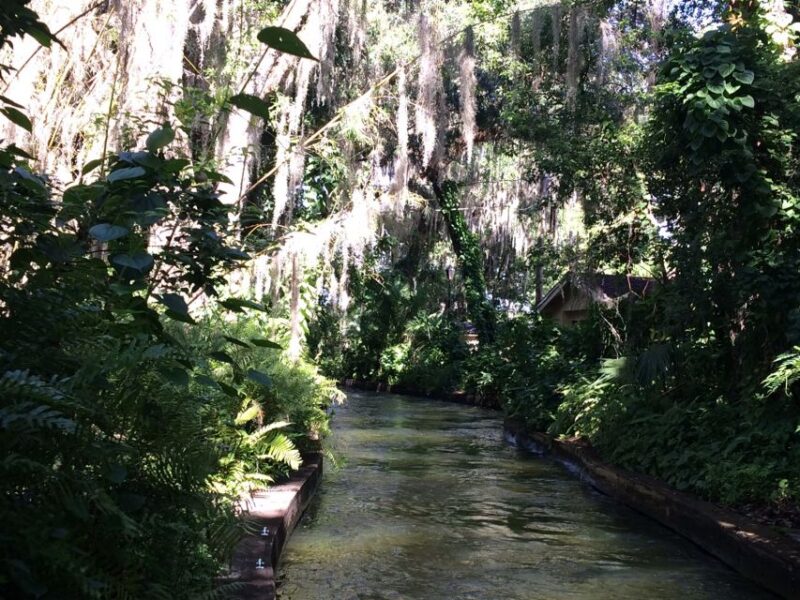 Orlando: Half-Day Sightseeing Tour + Eat & Play Savings Card - The Practical Side: What’s Included and What’s Not