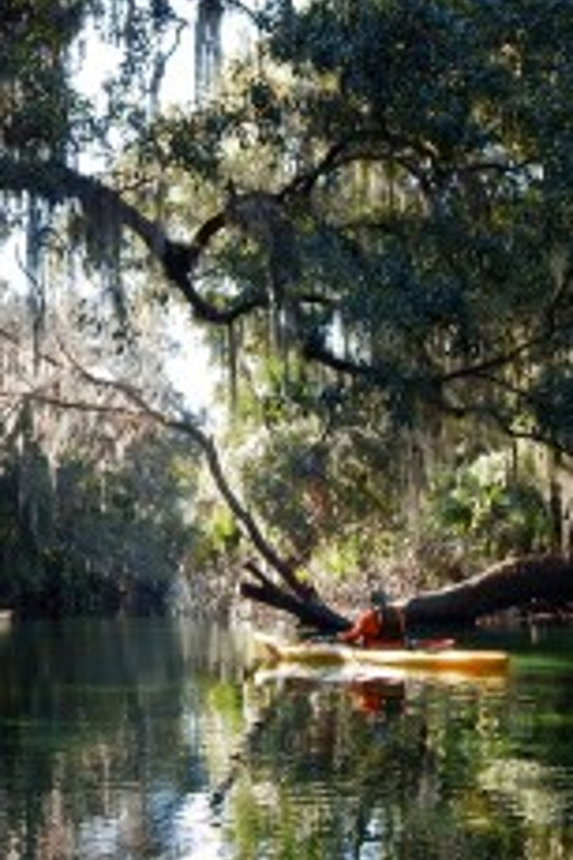 Orlando: Kayaking Tour with Manatee Encounter - Orlando: Kayaking Tour with Manatee Encounter — A Complete Guide