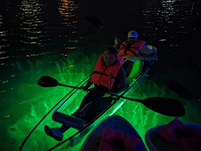 Orlando: LED Night Glow Clear Kayak or Paddleboard Tour - What to Expect During the Tour