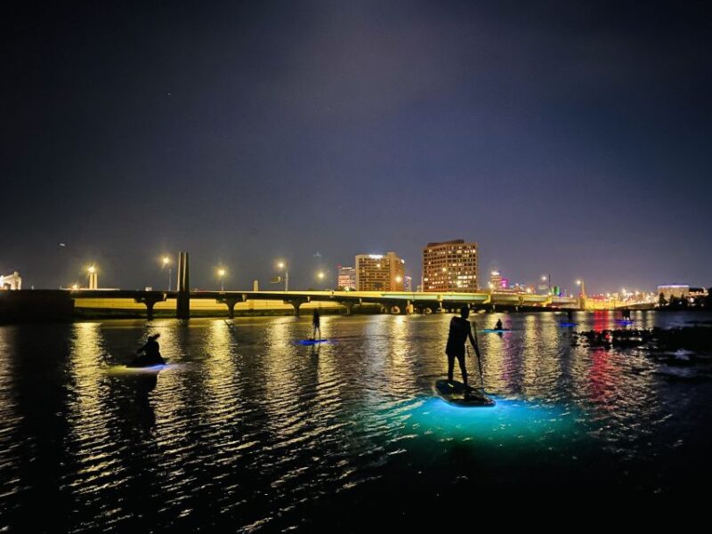Orlando: LED Night Glow Clear Kayak or Paddleboard Tour - Final Thoughts