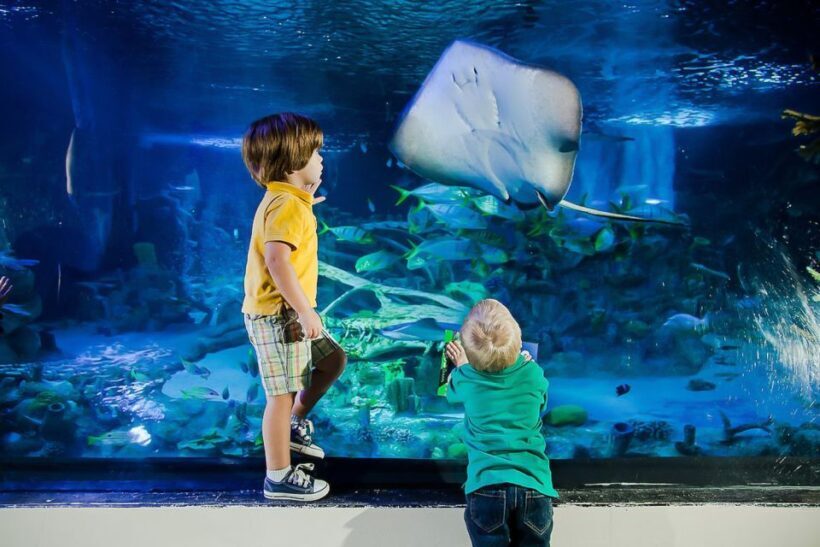 Orlando: Madame Tussauds and SEA LIFE Aquarium Combo Ticket - Who Should Consider This Experience?