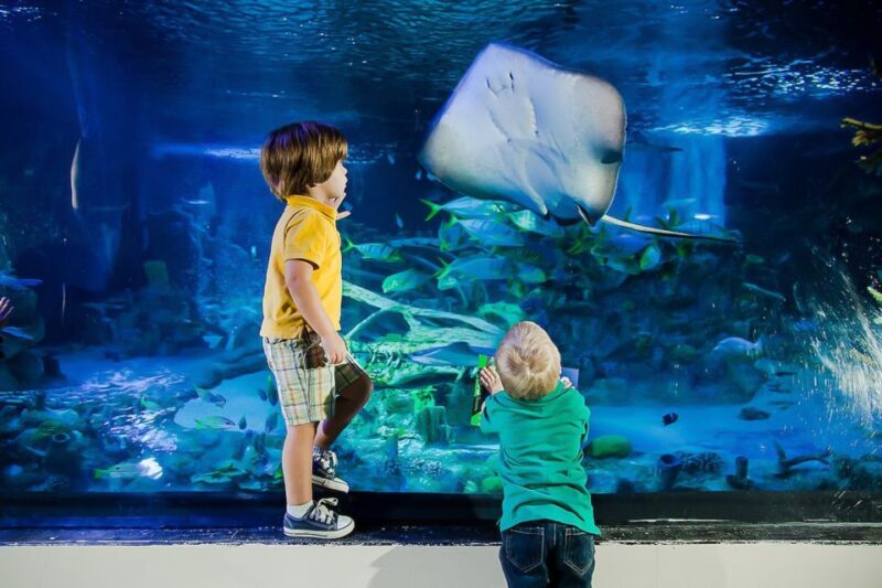 Orlando: Madame Tussauds and SEA LIFE Aquarium Combo Ticket - Exploring SEA LIFE Orlando