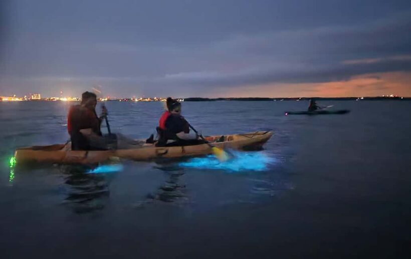 Orlando: Magic After Dark Bioluminescence Kayak Tour - FAQ