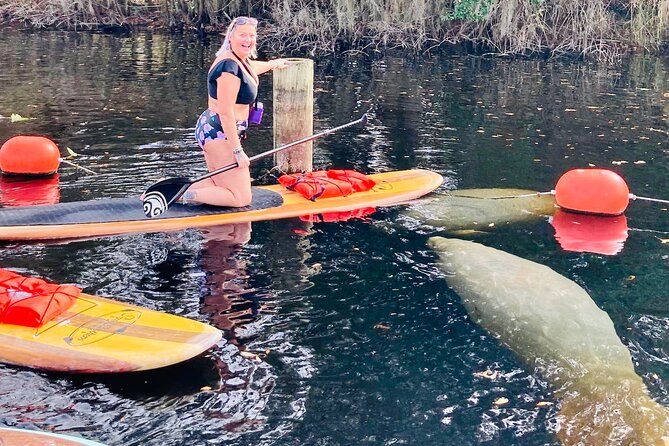 Orlando Manatee and Natural Spring Adventure Tour at Blue Springs - Tips and Recommendations