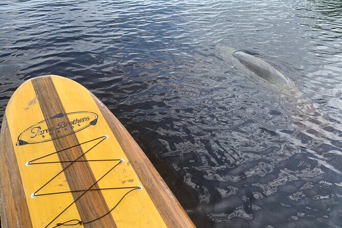 Orlando Manatee and Olde Florida History Adventure Tour - The Sum Up: Is It Worth It?