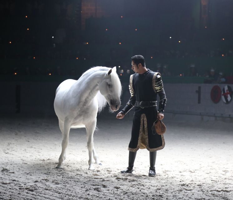 Orlando: Medieval Times Dinner and Show Ticket - Final Thoughts: Who Will Enjoy This?