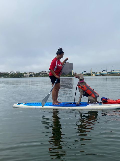 Orlando: Paddle with Pups in Paradise - Paddleboard or Kayak - What to Expect from the Experience