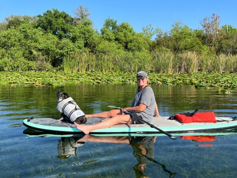 Orlando: Paddle with Pups in Paradise - Paddleboard or Kayak - The Value of the Tour