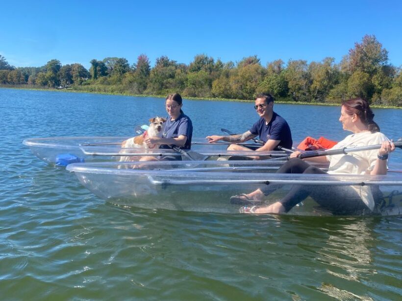 Orlando: Paddle with Pups in Paradise - Paddleboard or Kayak - The Sum Up