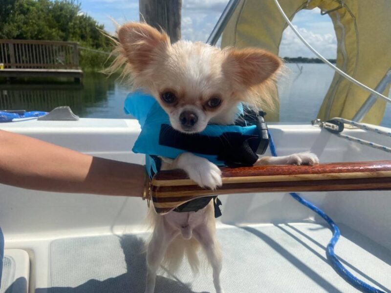 Orlando: Sailing Tour with Certified Sailing Instructor - Pricing and Value