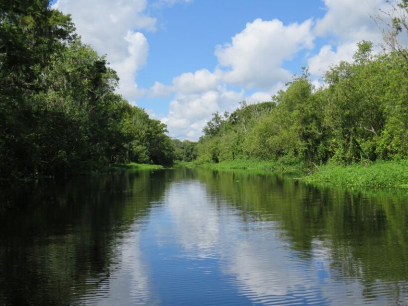 Orlando: Small Group Manatee Discovery Kayak Tour - Real Travelers’ Insights