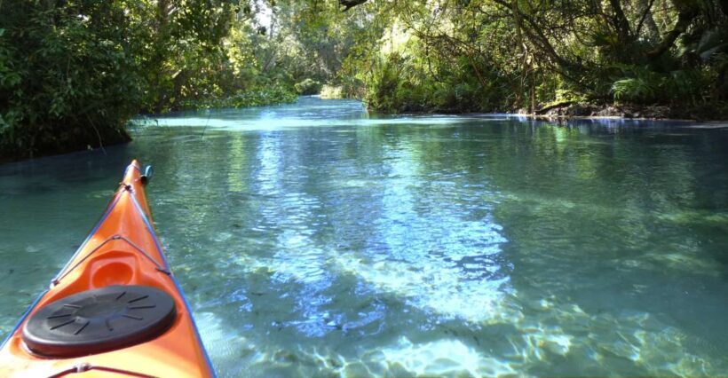 Orlando: Small Group Rock Springs Run Kayak Tour - Equipment, Inclusion, and Practical Details