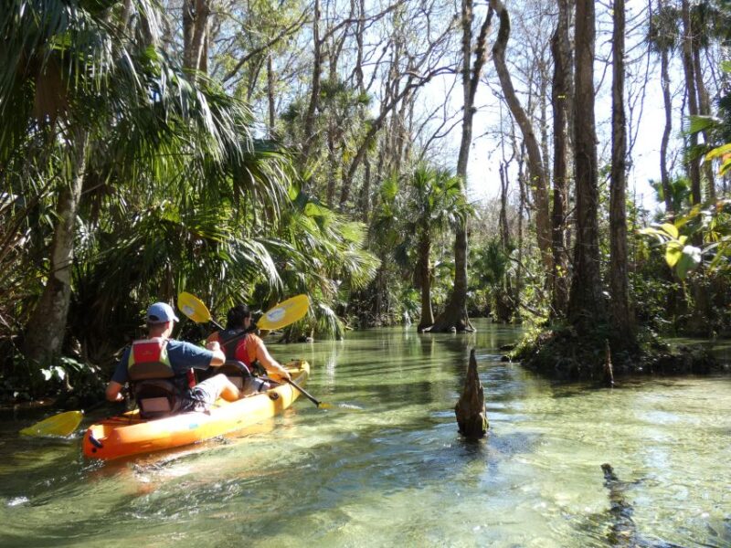 Orlando: Small Group Rock Springs Run Kayak Tour - Discovering Rock Springs Run – An Orlando Natural Gem