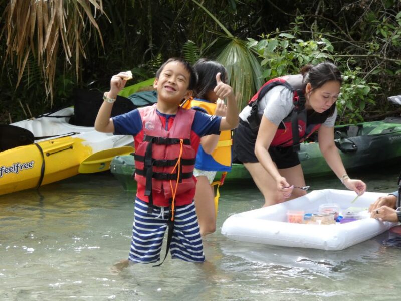 Orlando: Small Group Rock Springs Run Kayak Tour - The Itinerary in Detail