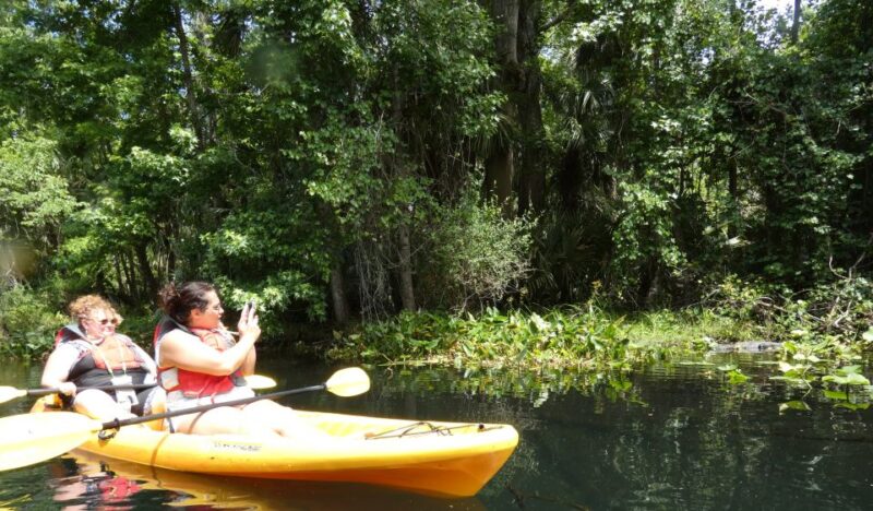 Orlando: Small Group Rock Springs Run Kayak Tour - What You Need to Know Before You Go